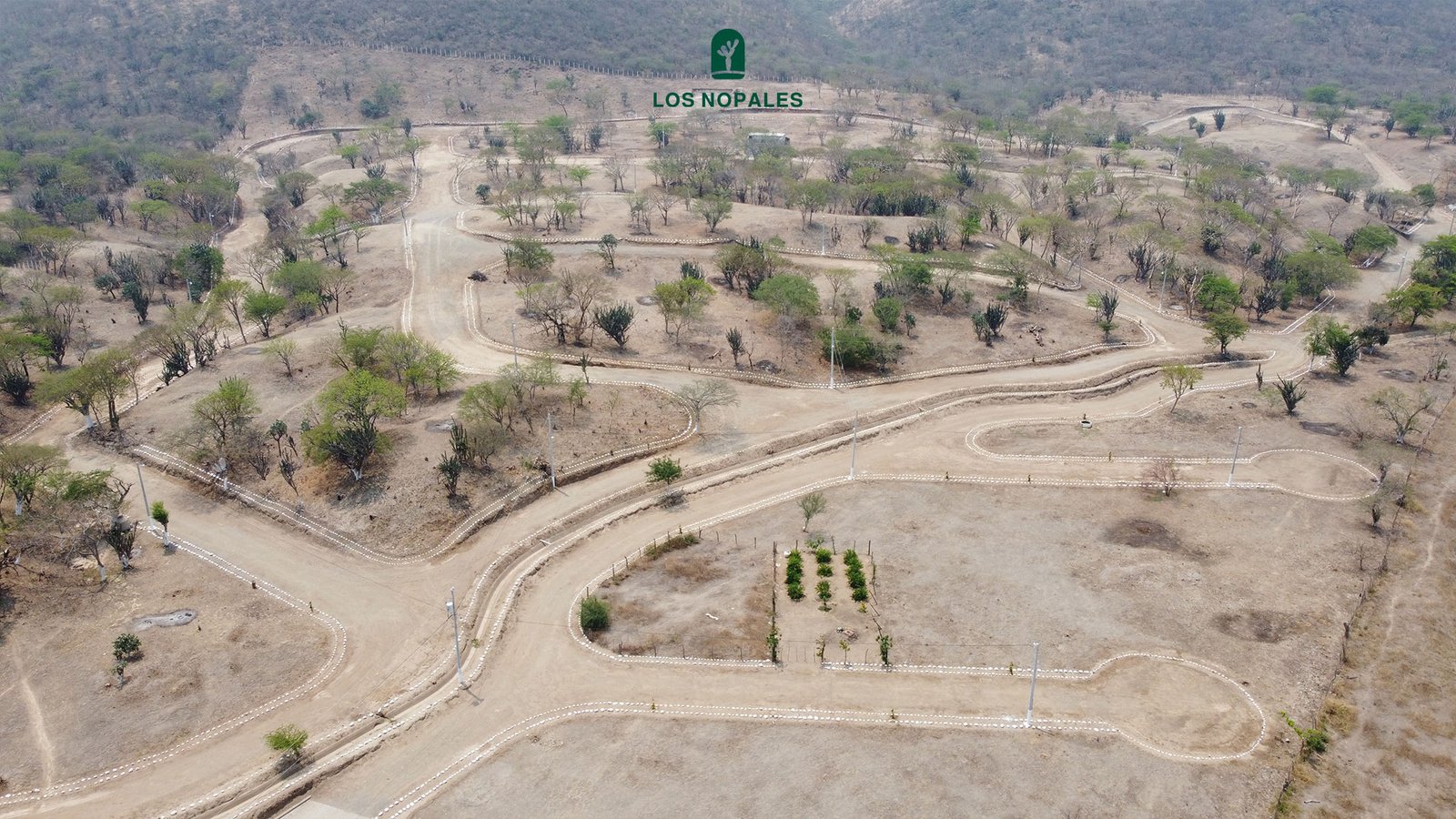 Lotificación Los Nopales – Venta de lotes urbanizados en El Progreso